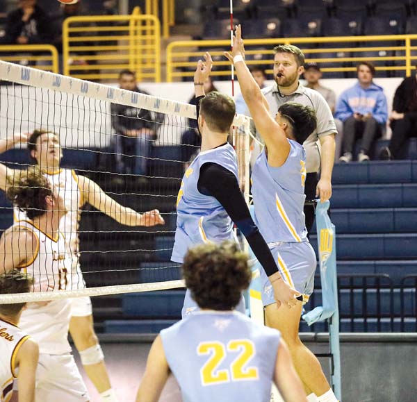 Spencer returns home with LIU to face UH | News, Sports, Jobs - Maui News